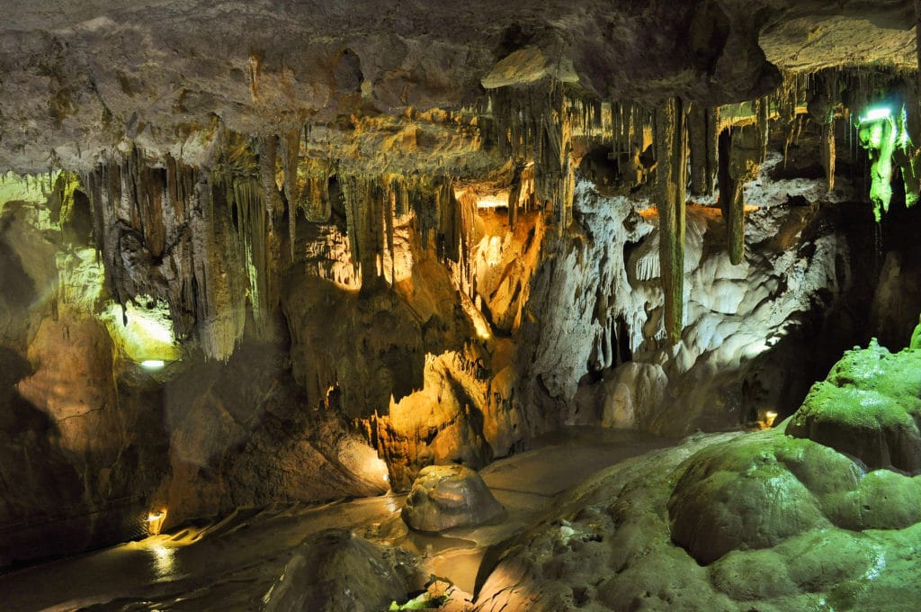 Bracken Cave in Texas is the World’s Bat Capital - trekbible