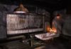 In for a Scare? Stay in ‘Alcatraz’ this Halloween - trekbible