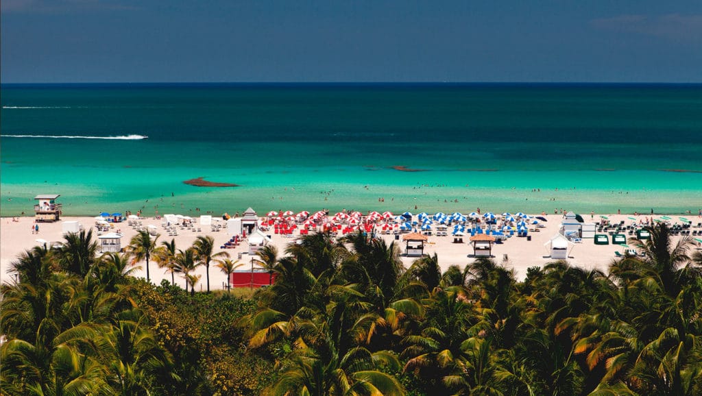 Kimpton Surfcomber Hotel Review: A South Beach Oasis - trekbible