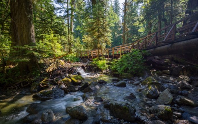 7 Spectacular Places to Visit in Washington State - trekbible
